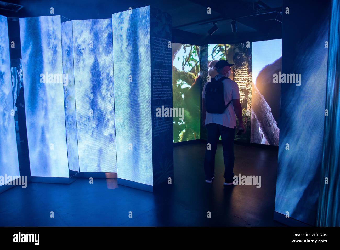Beautiful waterfall display inside the Peru Pavilion Expo, Dubai, with ...