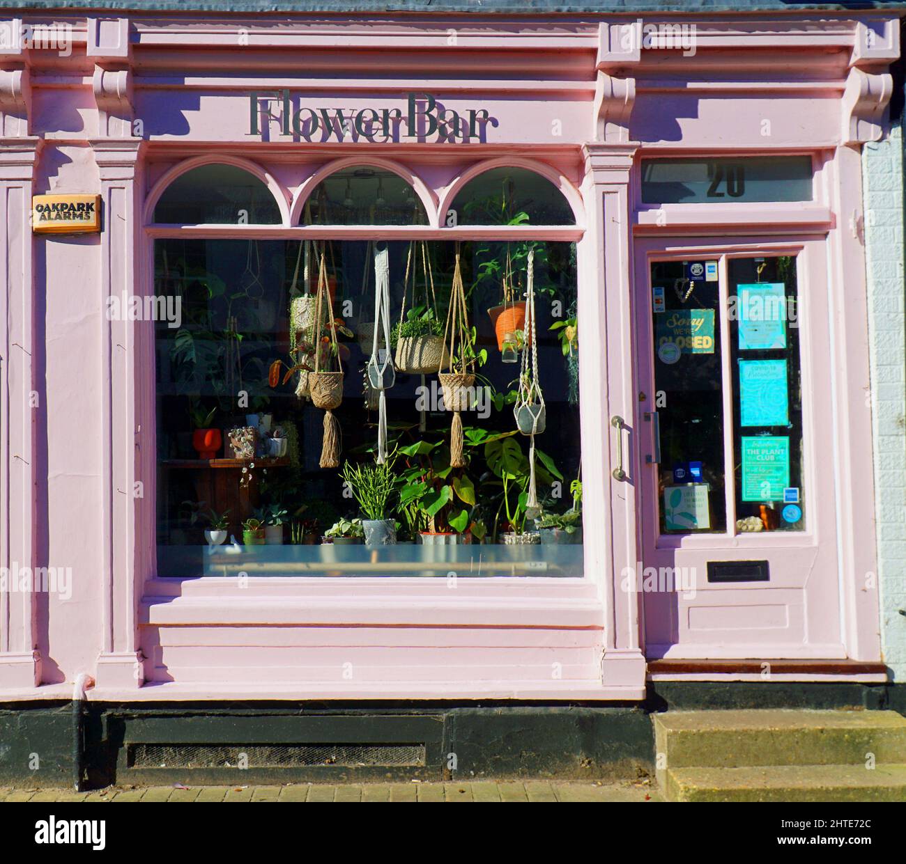 Florist Shop Front with pink painted woodwork and hanging pots in the ...