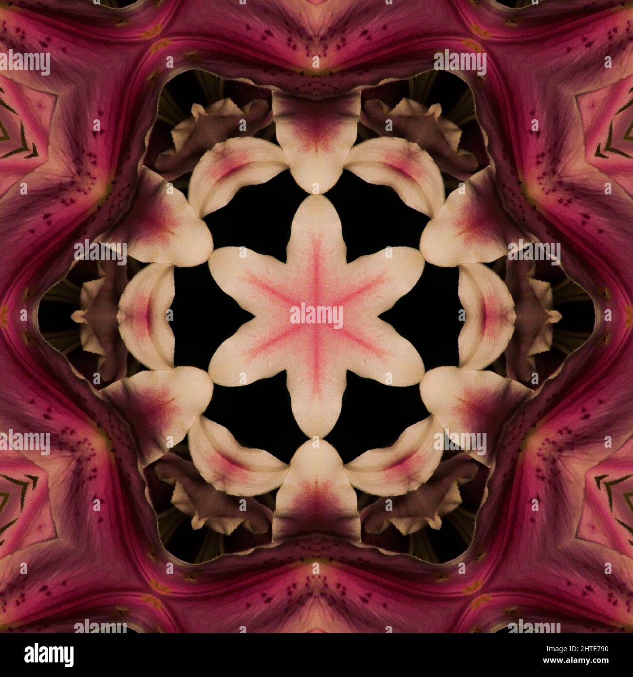 Abstract Computer generated Fractal design. A fractal is a never-ending ...