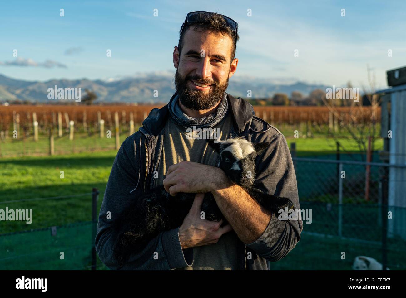Goat of arms hi-res stock photography and images - Alamy