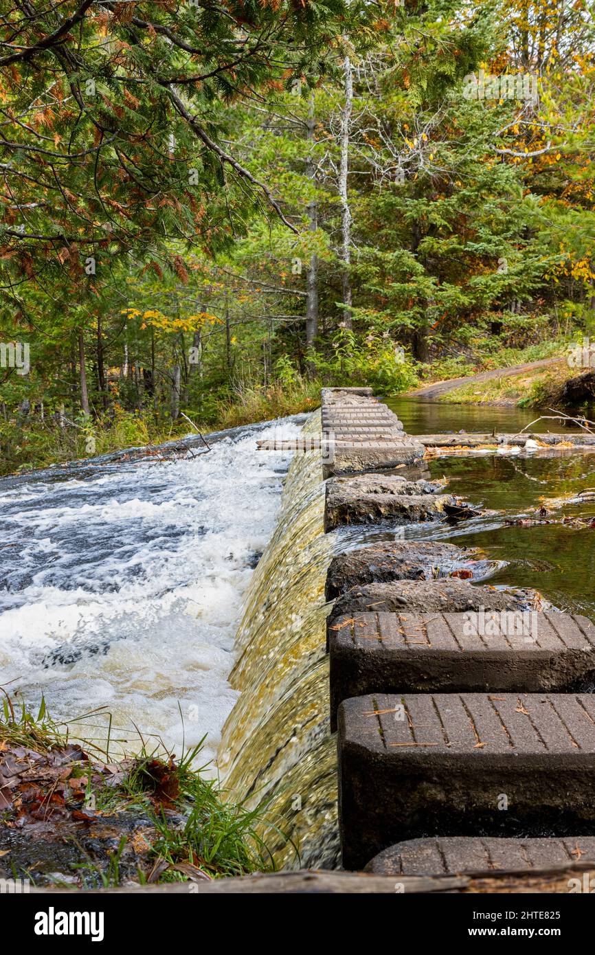 Vertical shot of the Victoria Dam surrounded by yellowing plants in ...