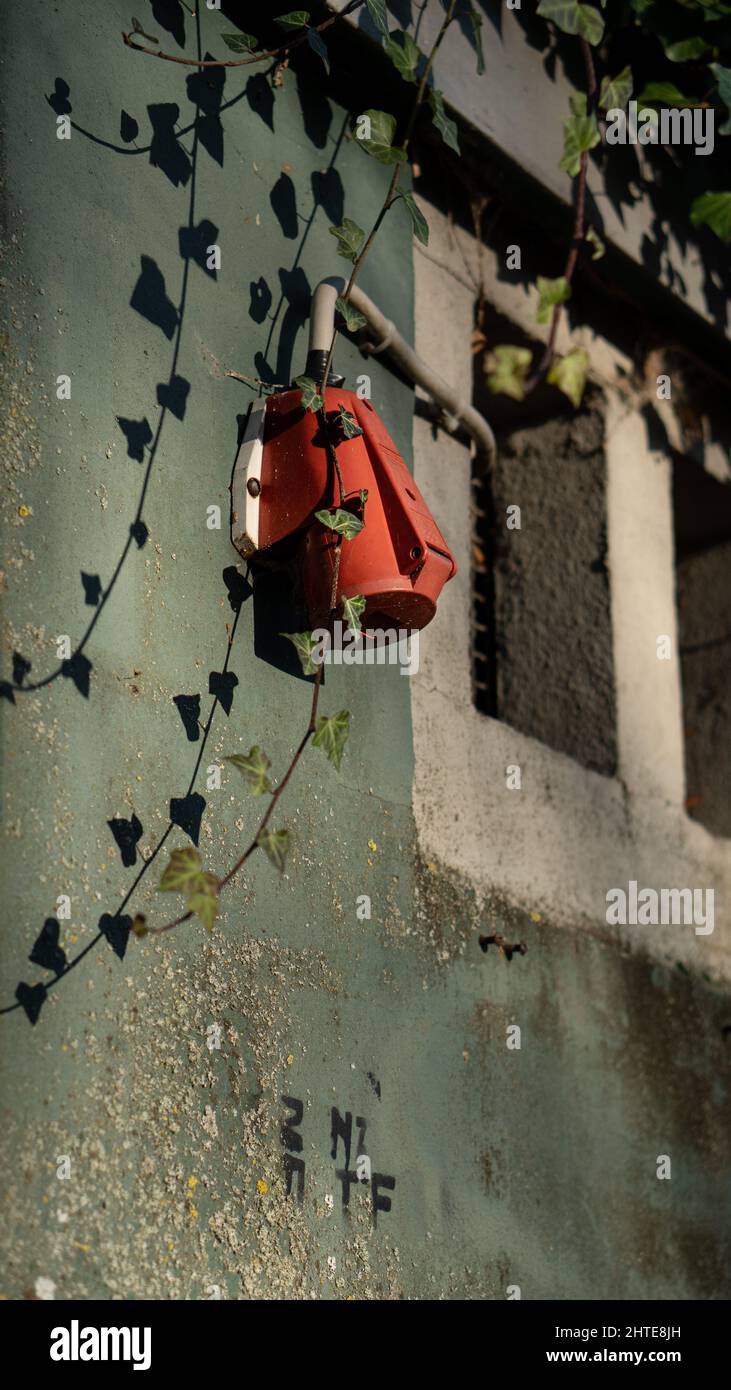 High voltage cable in front of an old green wall Stock Photo - Alamy