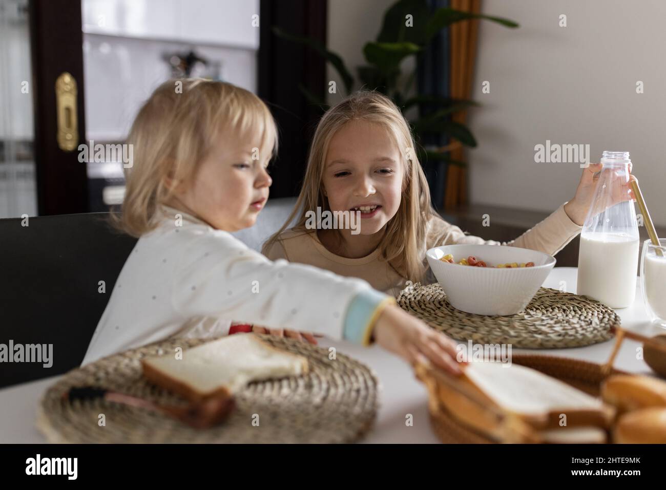 Cute caucasian siblings sitting at table on kitchen early morning and ...