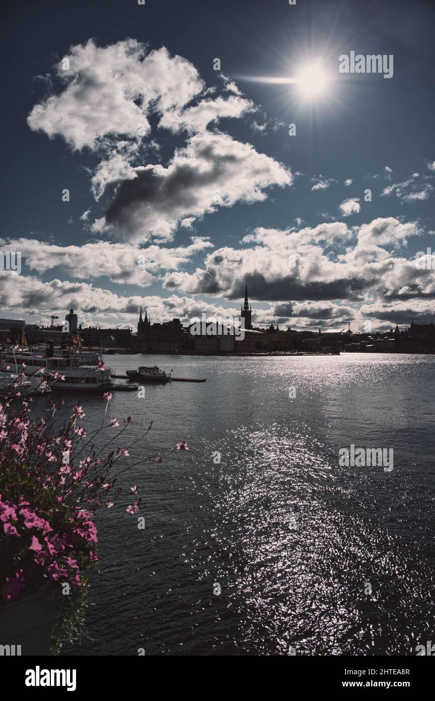 Vertical shot river lake hi-res stock photography and images - Alamy