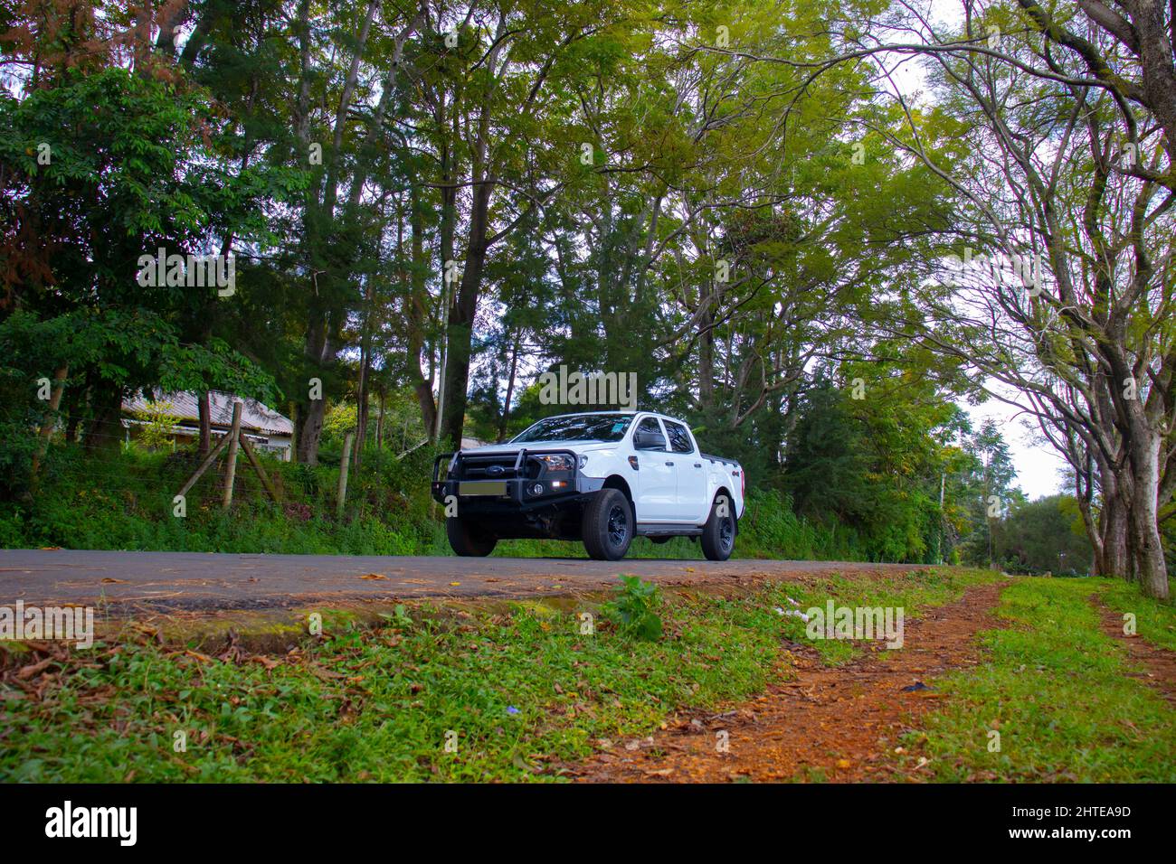 White modified Ford Ranger 2019 4X4 on a rural road Stock Photo - Alamy