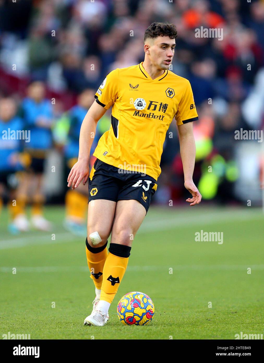 Max kilman wolves 2022 hi-res stock photography and images - Alamy