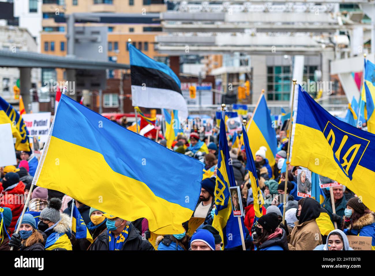 Toronto, Canada - February 27, 2022: Ukrainian flags waving in the wind ...