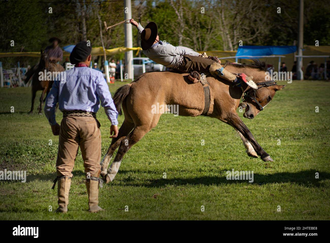 Cowboy riding on a horse in a field and another person watching him ...