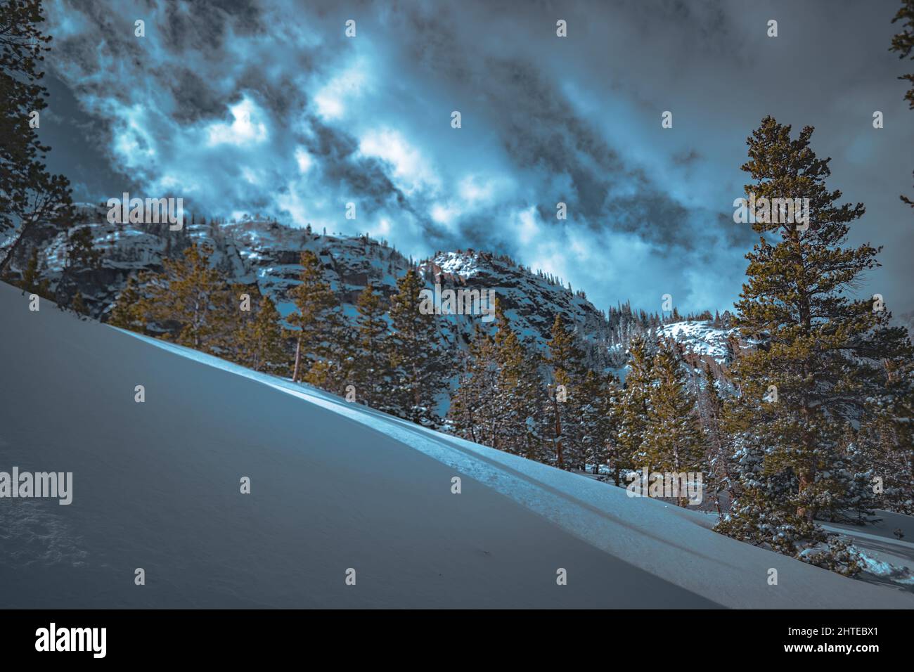 Beautiful winter landscape in a snow-covered forest under a gloomy sky Stock Photo - Alamy