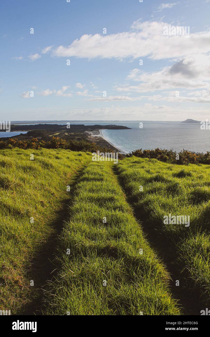Vertical of a landscape covered with greenery with the background of an ...