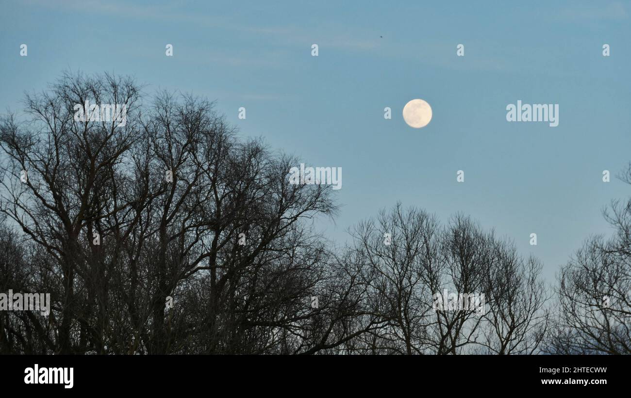 Frosty morning with moon hi-res stock photography and images - Alamy