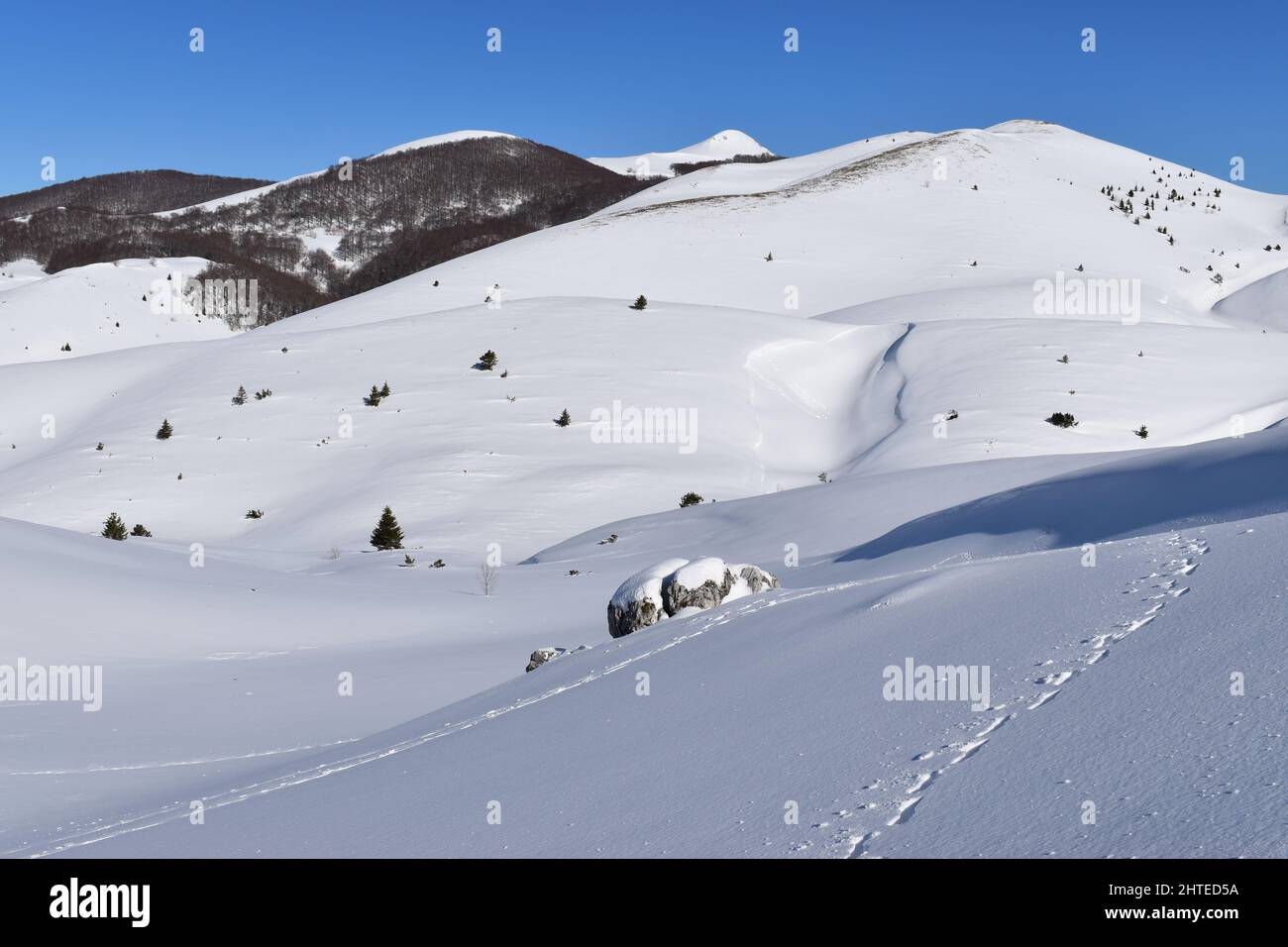 Winter hiking day on Zelengora mountain, Part 2 Stock Photo - Alamy