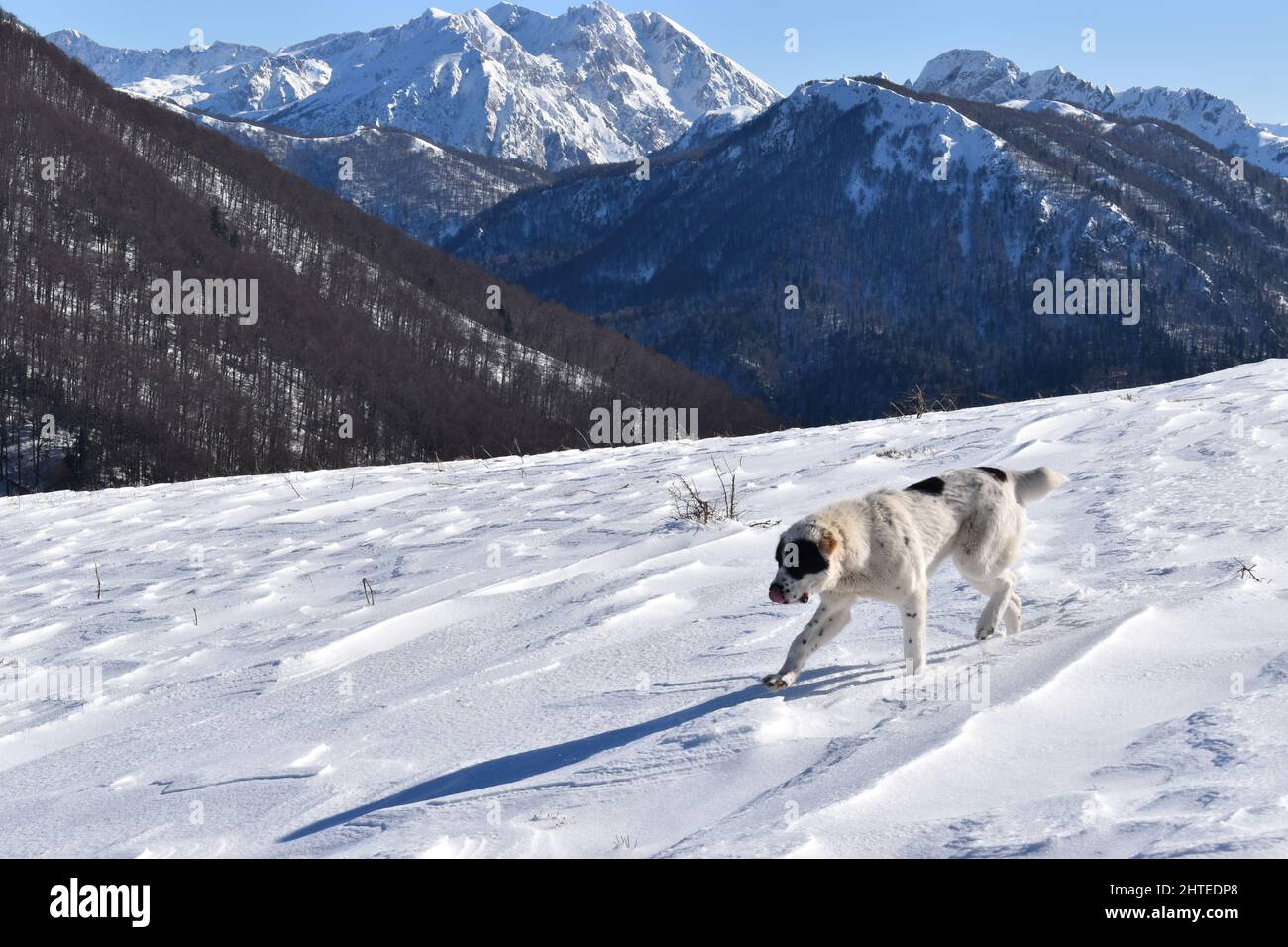 Winter hiking day on Zelengora mountain, Part 2 Stock Photo - Alamy