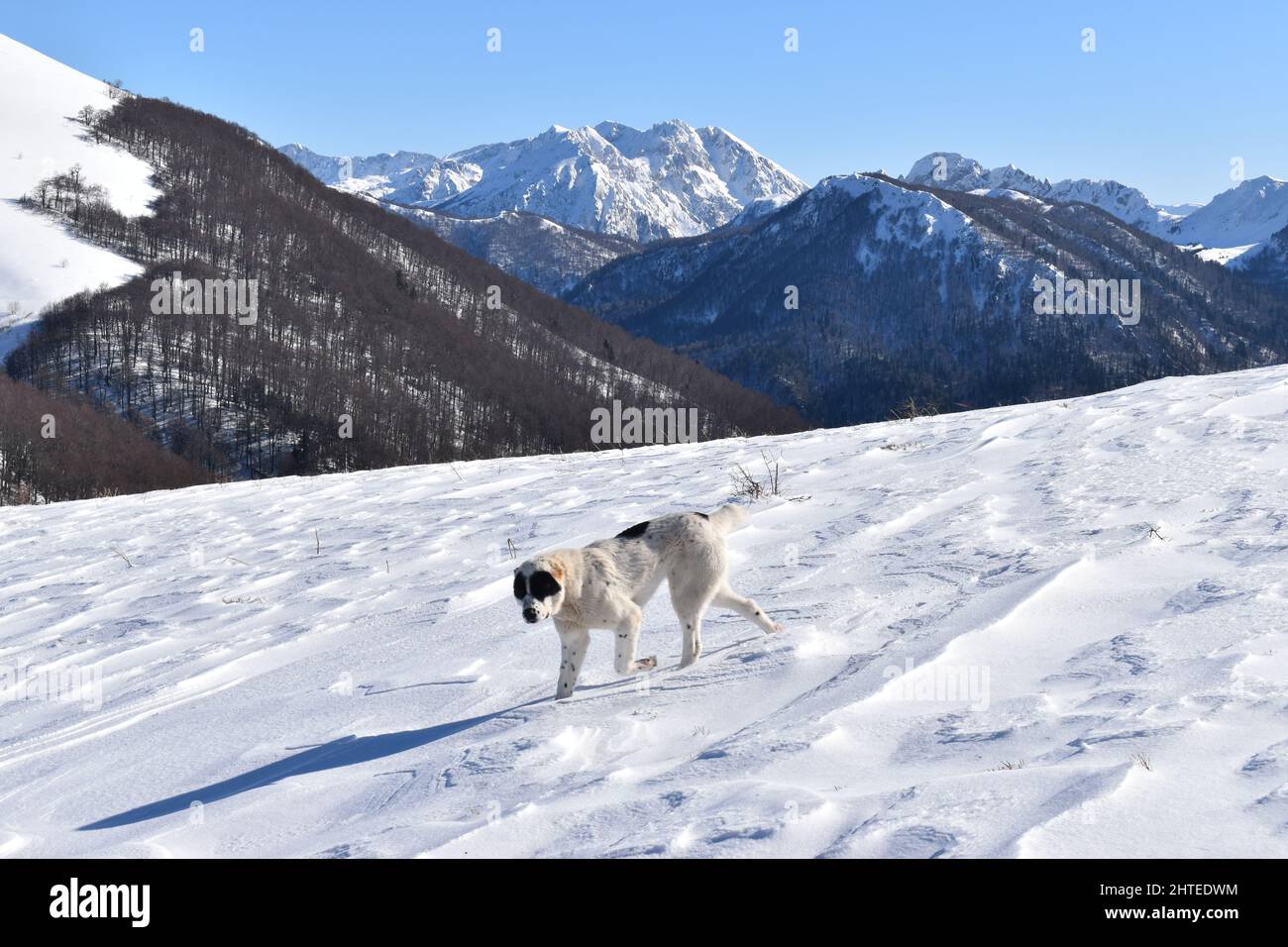 Winter hiking day on Zelengora mountain, Part 2 Stock Photo - Alamy