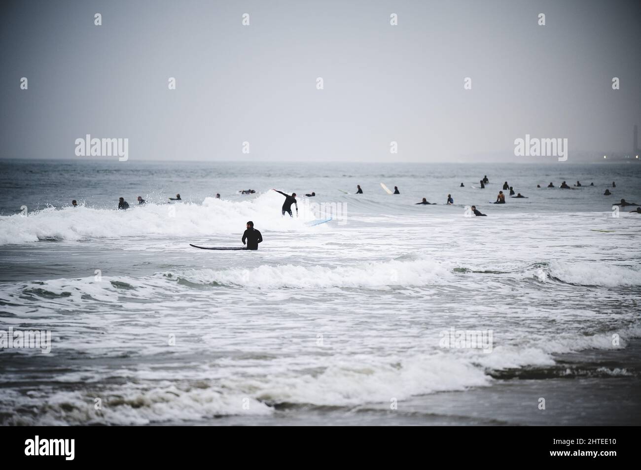 Surfers out in the ocean at Newport Beach California Stock Photo - Alamy