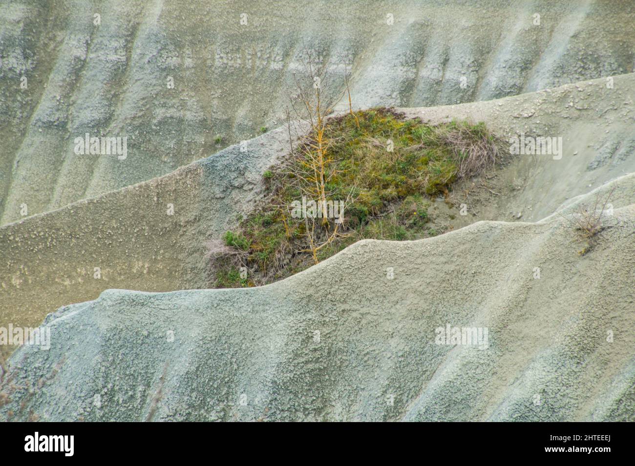 Closeup of Ravine Corboeuf branch and sandhills in the background Stock ...