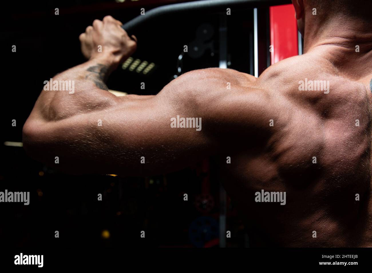Bodybuilder Exercising Back In Gym Stock Photo - Alamy