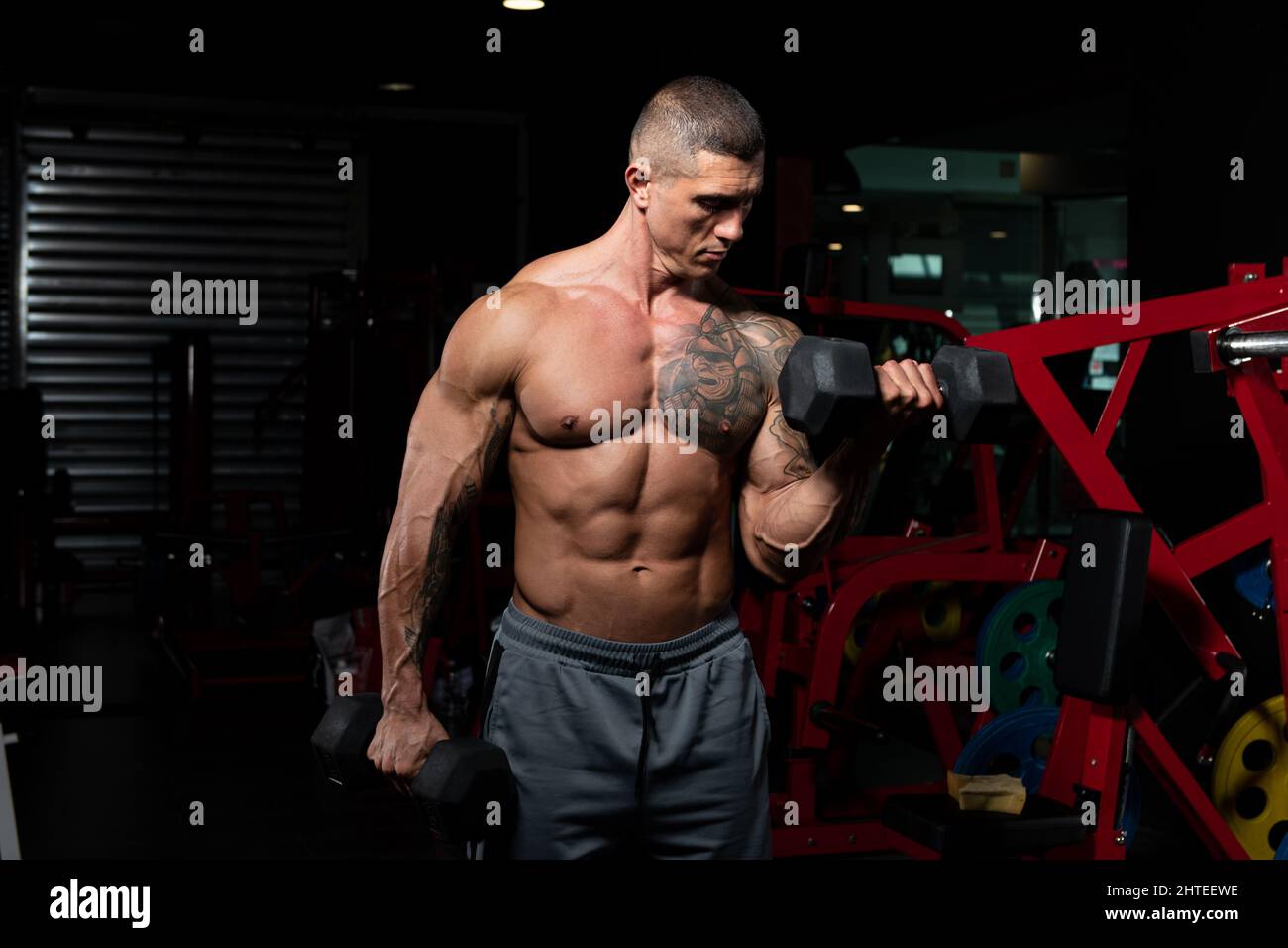 Man Working Out Biceps With Dumbbells Stock Photo - Alamy