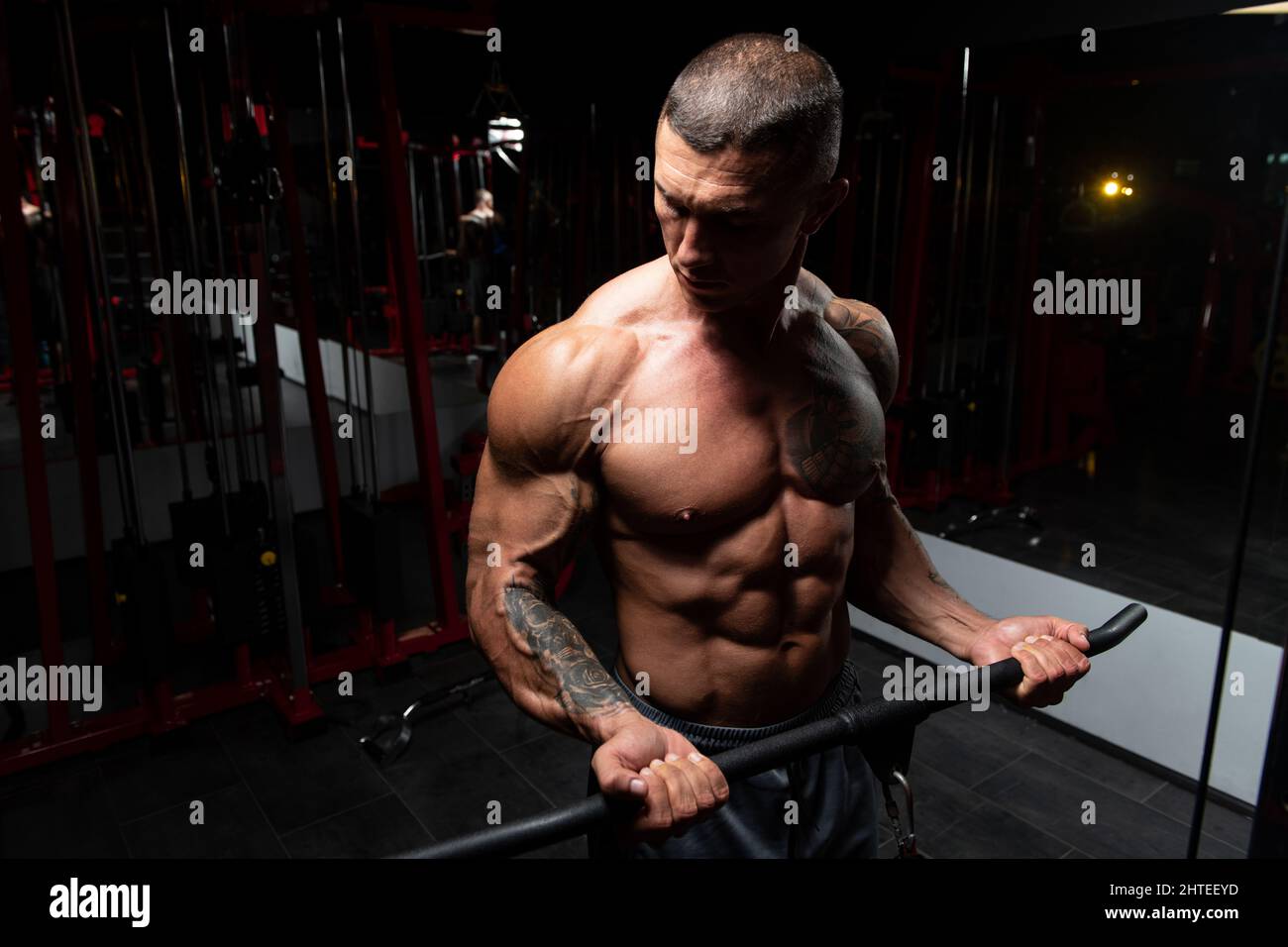Bodybuilder Doing Heavy Weight Exercise For Biceps Stock Photo - Alamy