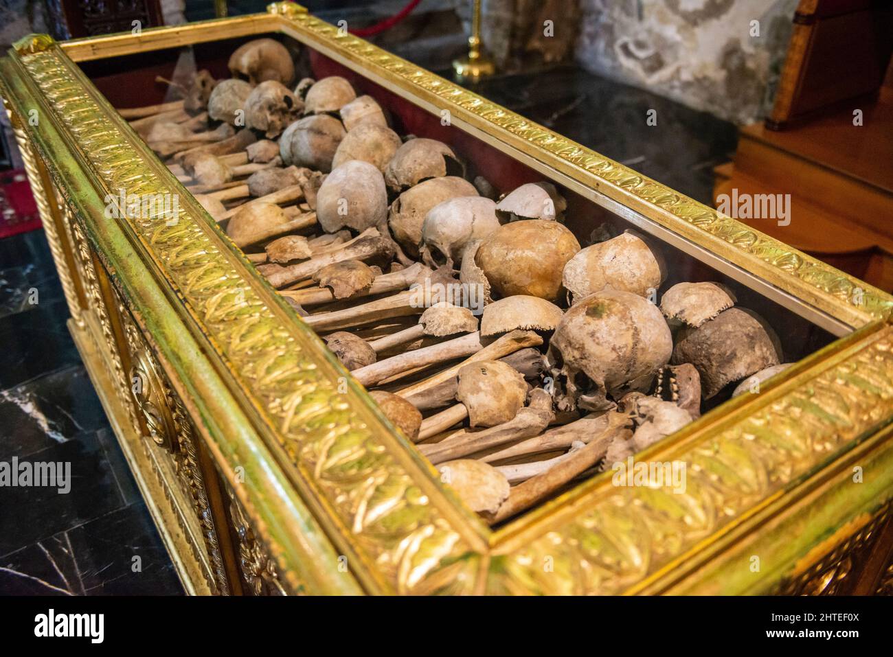 Human scull bones hi-res stock photography and images - Alamy