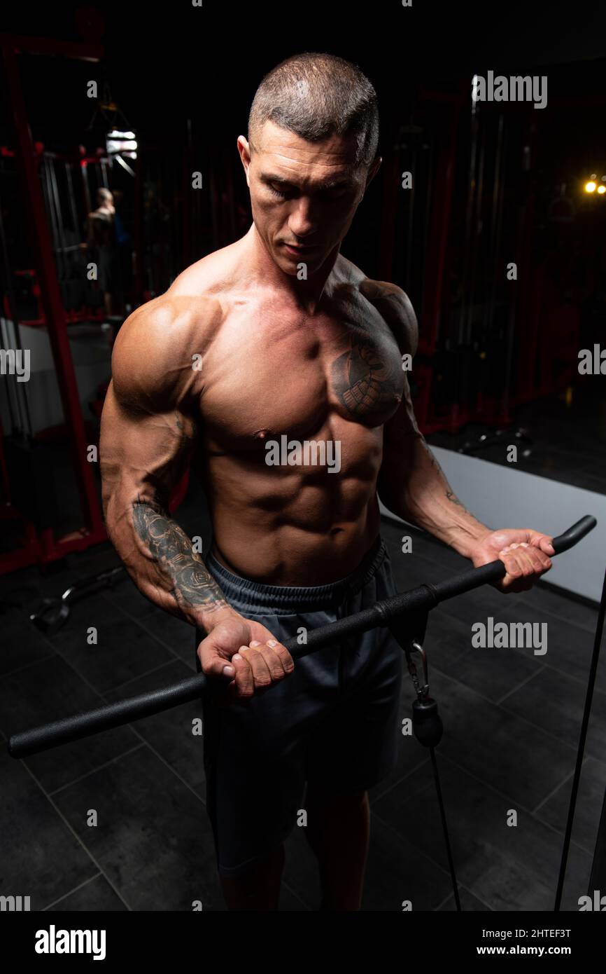 Bodybuilder Exercising Biceps Stock Photo - Alamy