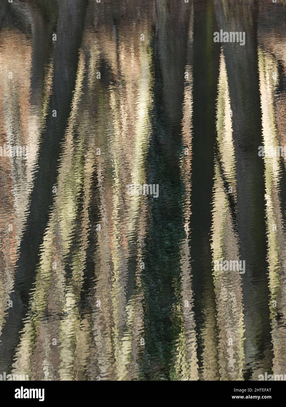 Reflection of tree trunks in a lake as an impressionist painting Stock ...