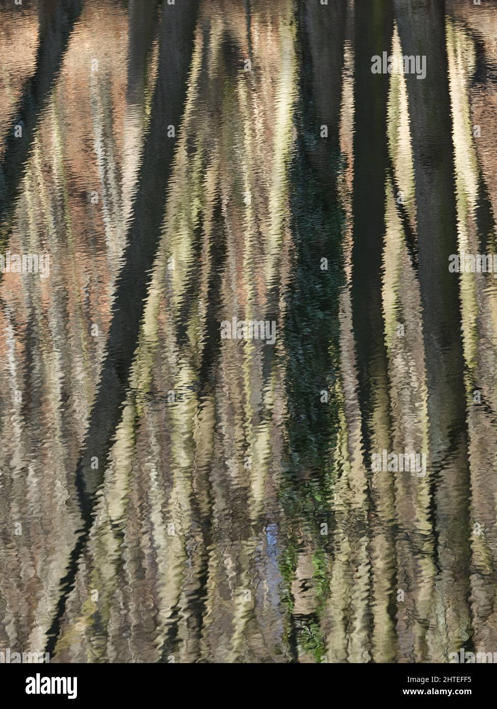 Reflection of tree trunks in a lake as an impressionist painting Stock ...