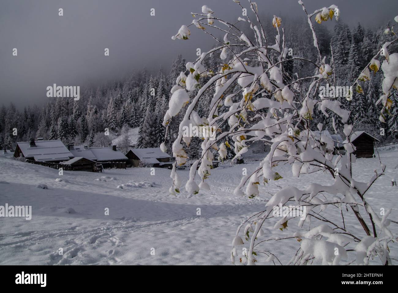 Beautiful view of wooden houses in nature in Haute Savoie, France in ...