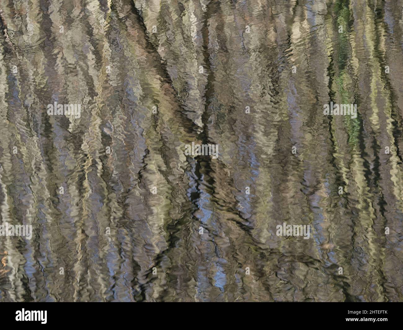 Reflection of tree trunks in a lake as an impressionist painting Stock ...