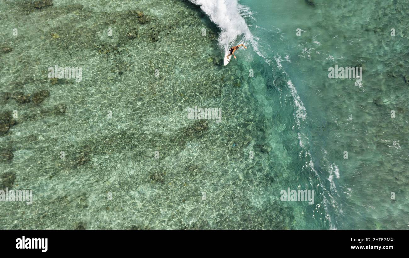 Aerial view of a male surfer riding the huge waves Stock Photo - Alamy