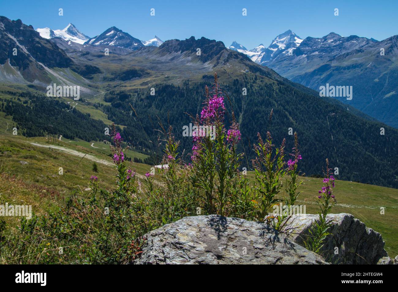 Gorgeous view of mountains in Switzerland Stock Photo - Alamy