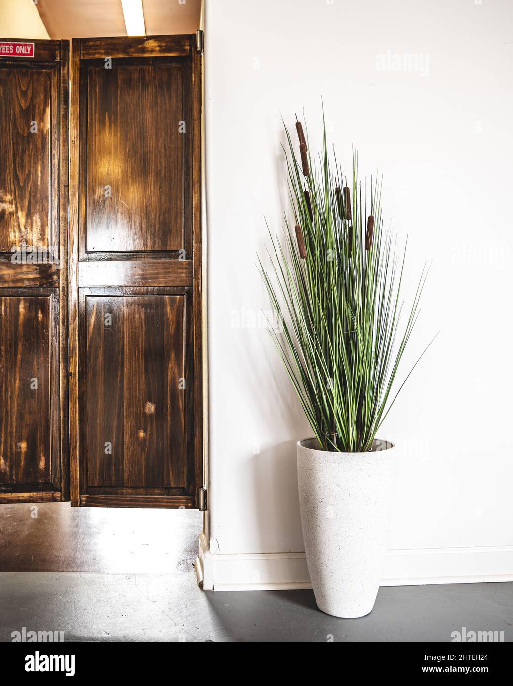 Artificial cattail plant in a vase at home Stock Photo - Alamy
