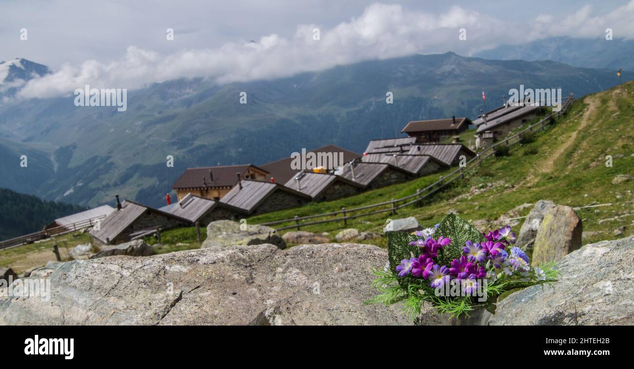 Tranquil scenery of Saint Martin, alpine pasture of an old swiss ...