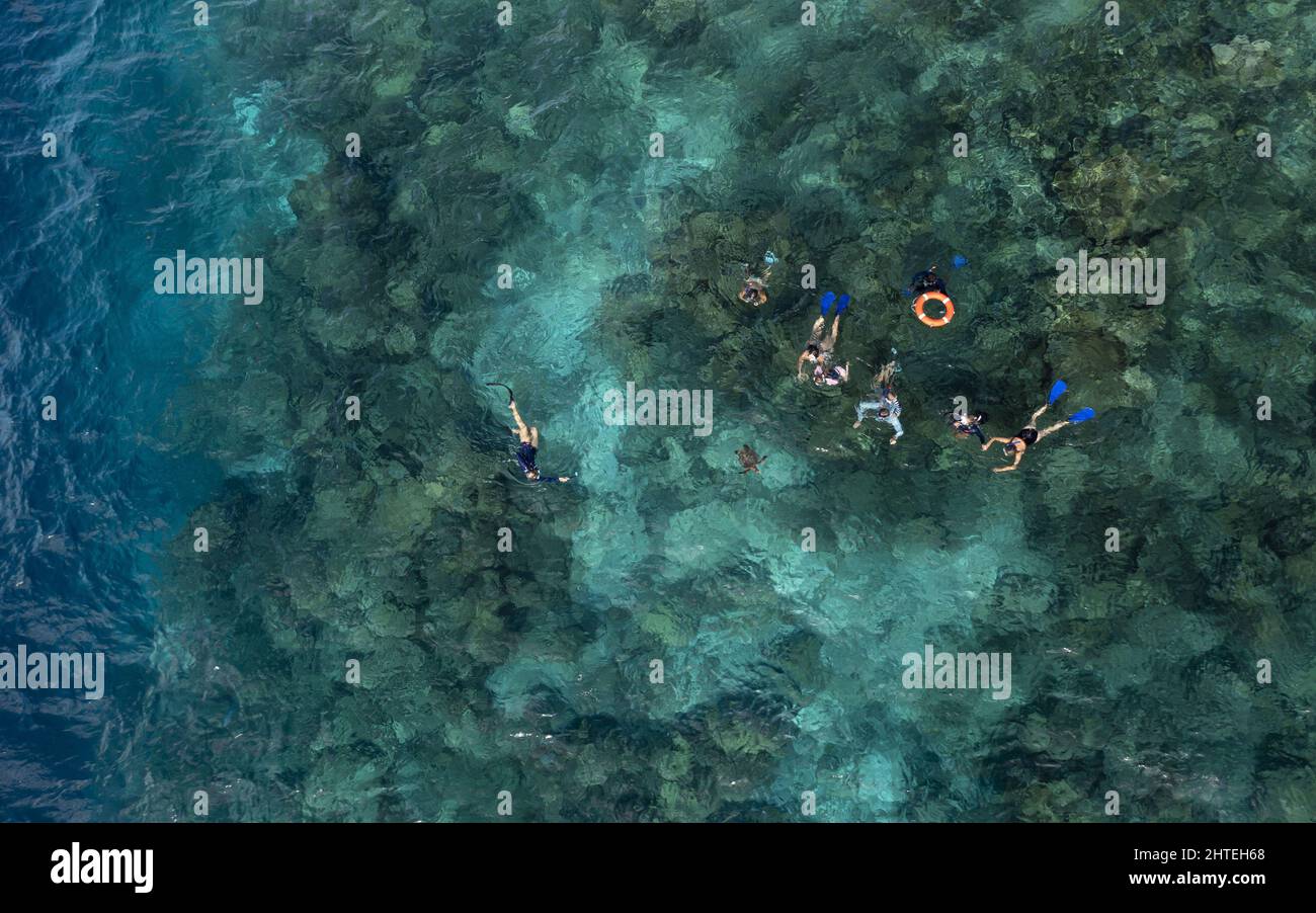 Aerial top view of people swimming in the transparent clear tranquil ...