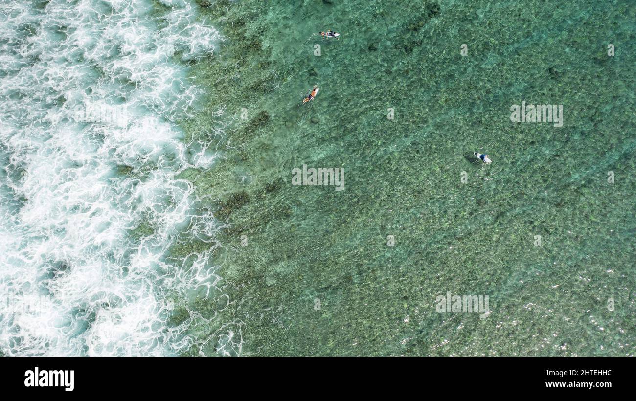 Aerial top view of a male surfer swimming in a tranquil water Stock ...