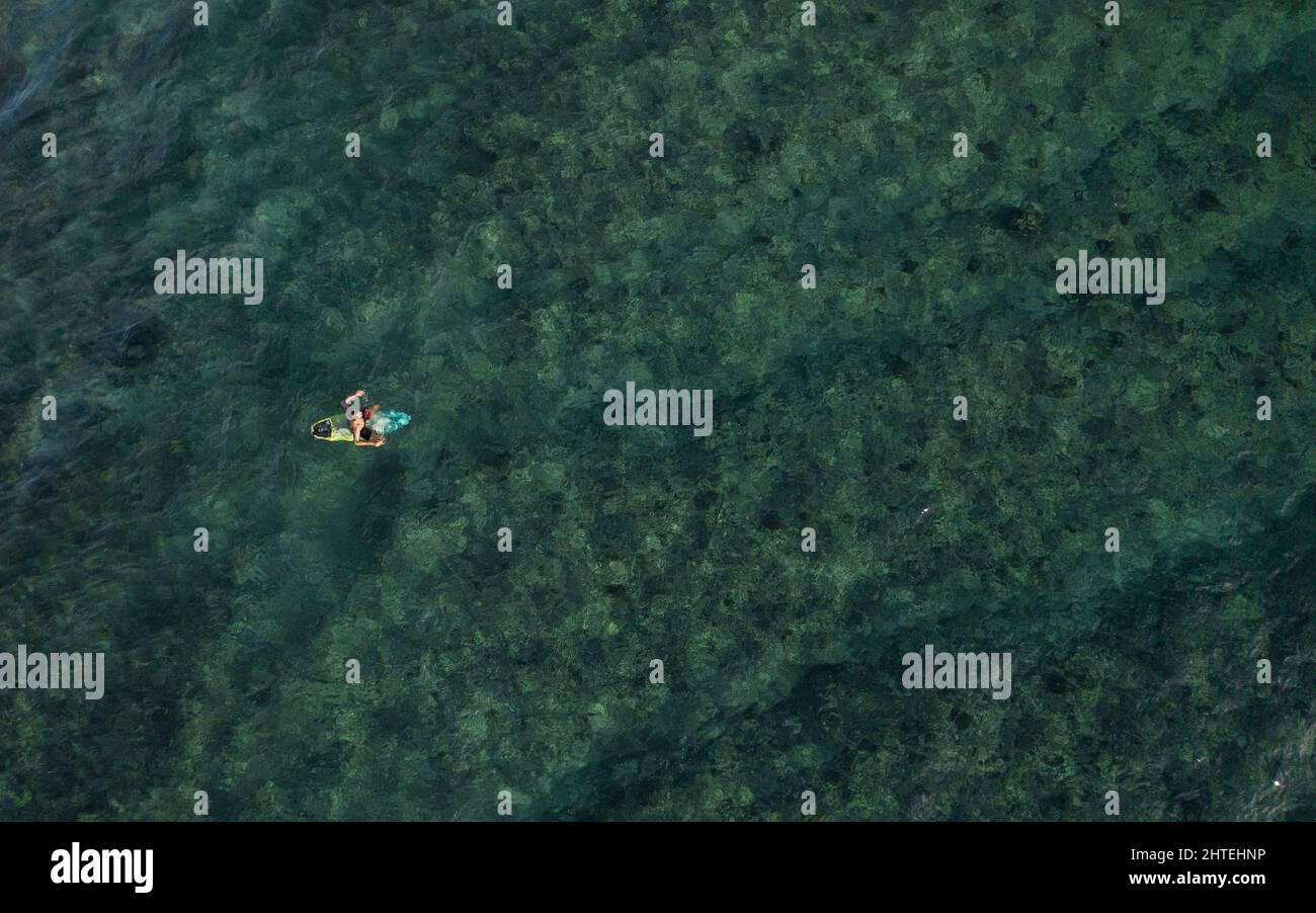 Aerial top view of a male surfer swimming in a tranquil water Stock ...