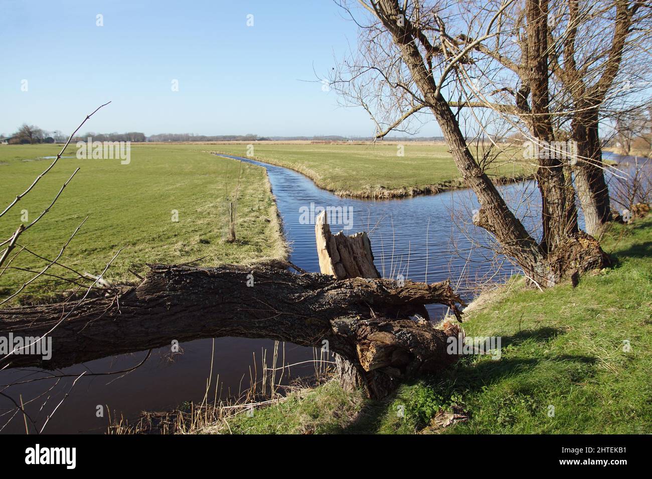 Broken willows hi-res stock photography and images - Alamy