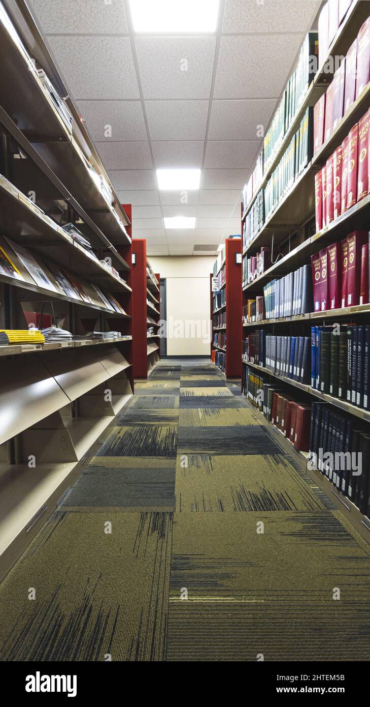 Beautiful design of Hundreds of books, magazines, and reading material ...