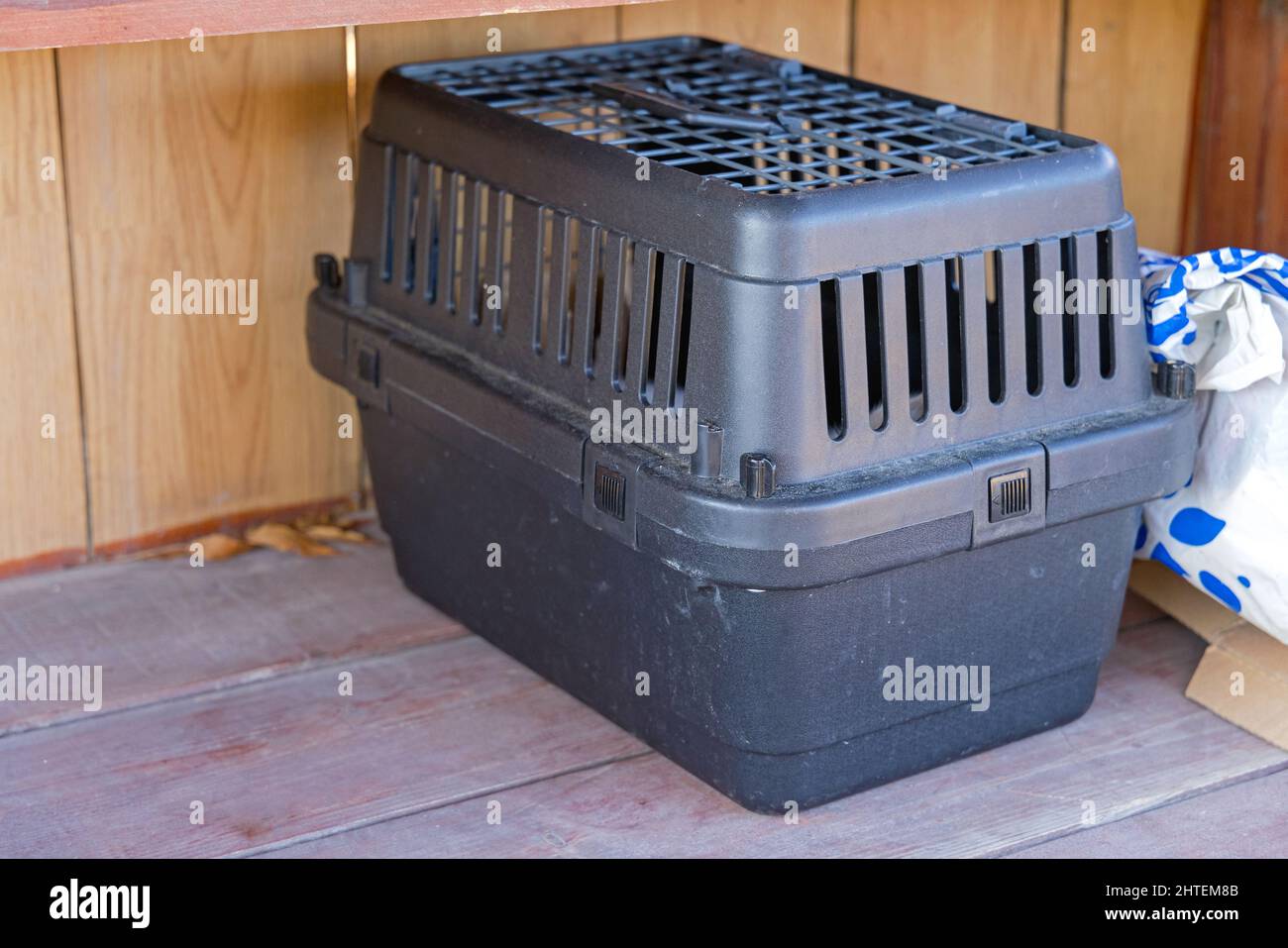 Black Plastic Hard Pet Carrier Box at Shelf Stock Photo - Alamy