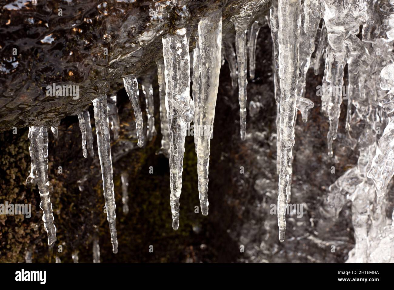 Icicle close-up on dark background. Ice, frozen water Stock Photo - Alamy
