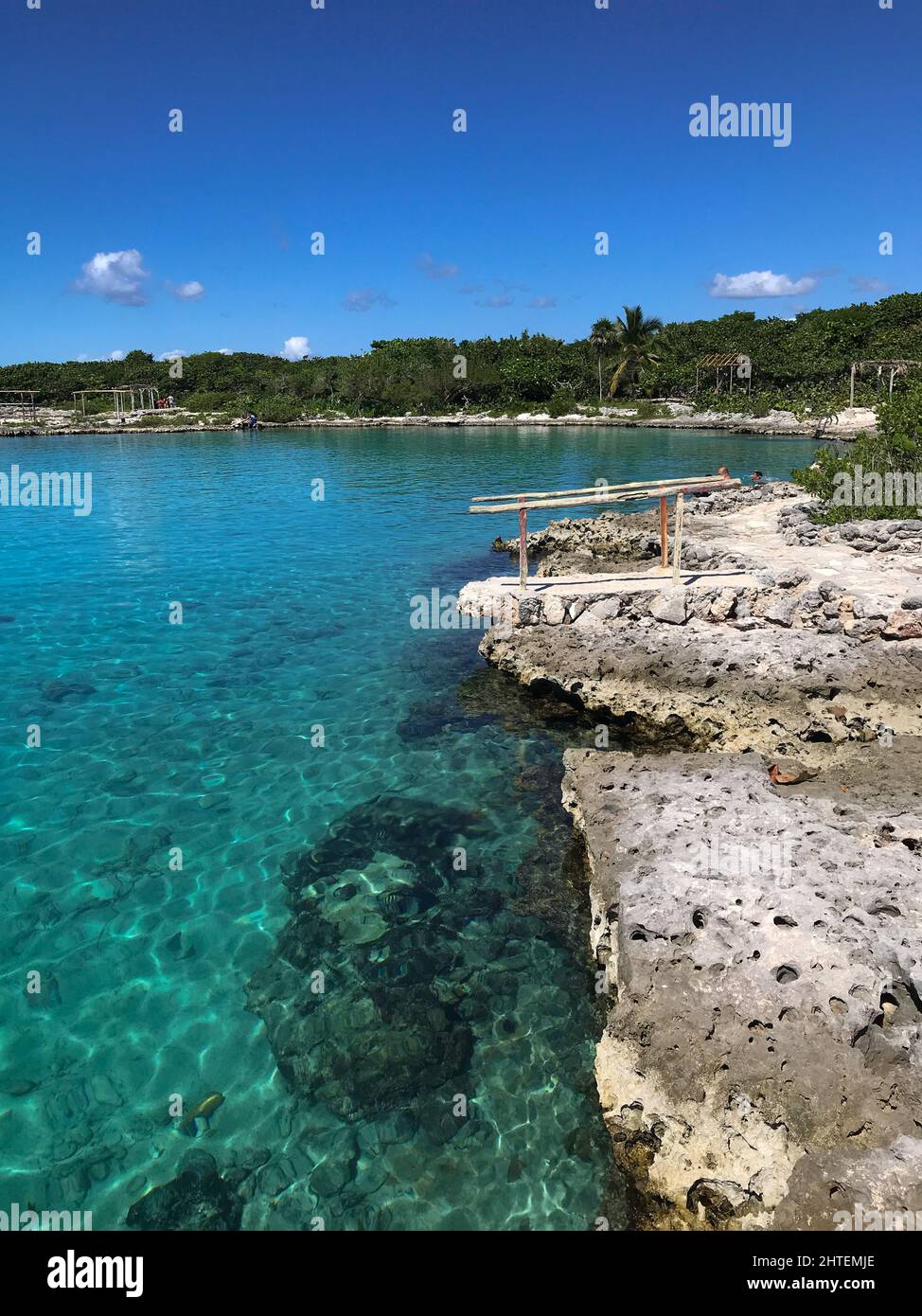 Vertical shot sea clear hi-res stock photography and images - Alamy