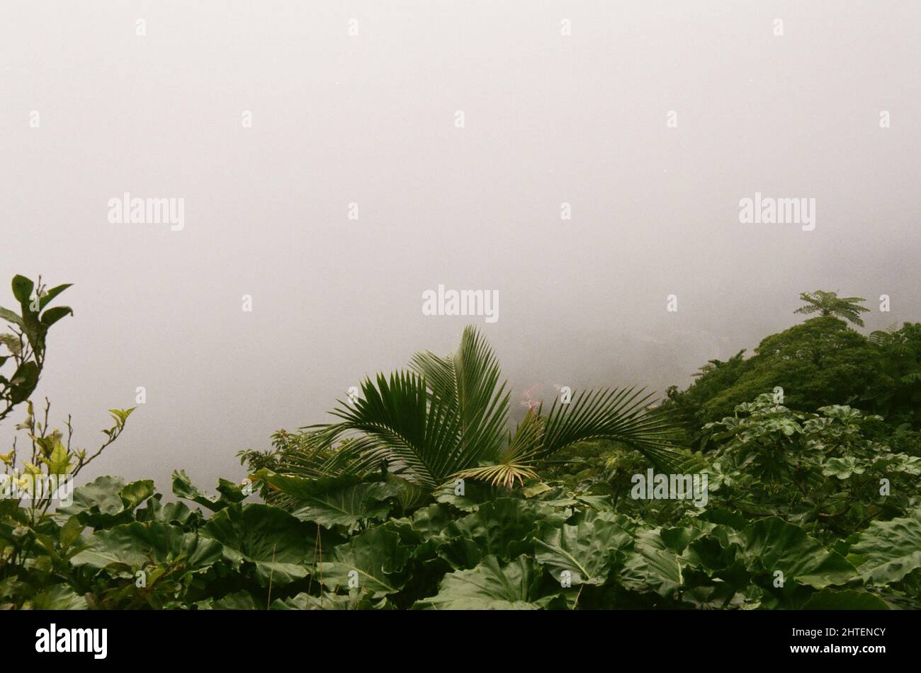 View of Saba Island in the Caribbean Stock Photo - Alamy
