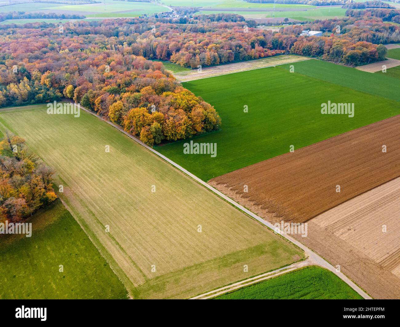 Aerial view of agricultural fields. fields at farmland. drone photo ...
