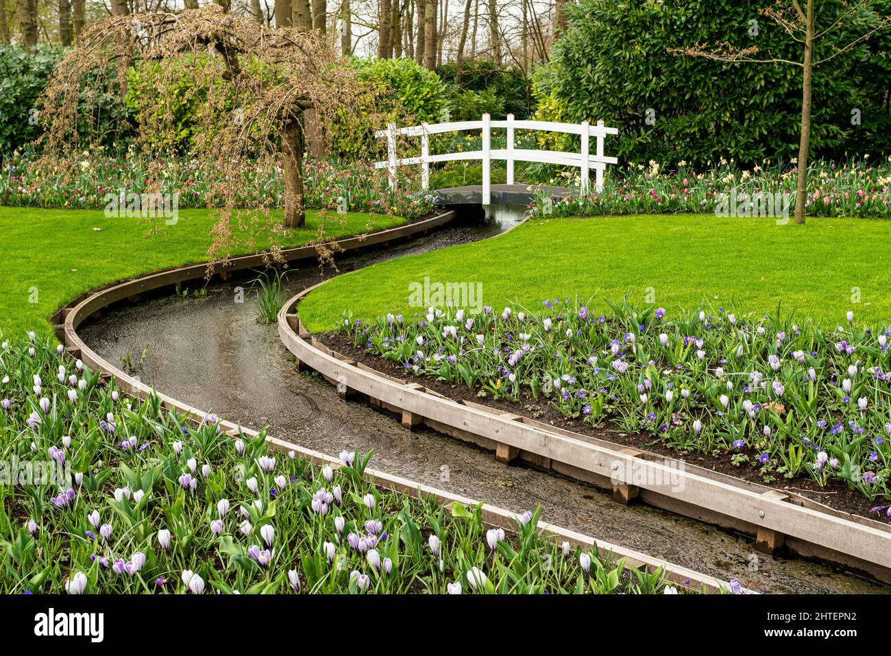 Colorful garden landscape and grassy lawn Stock Photo - Alamy