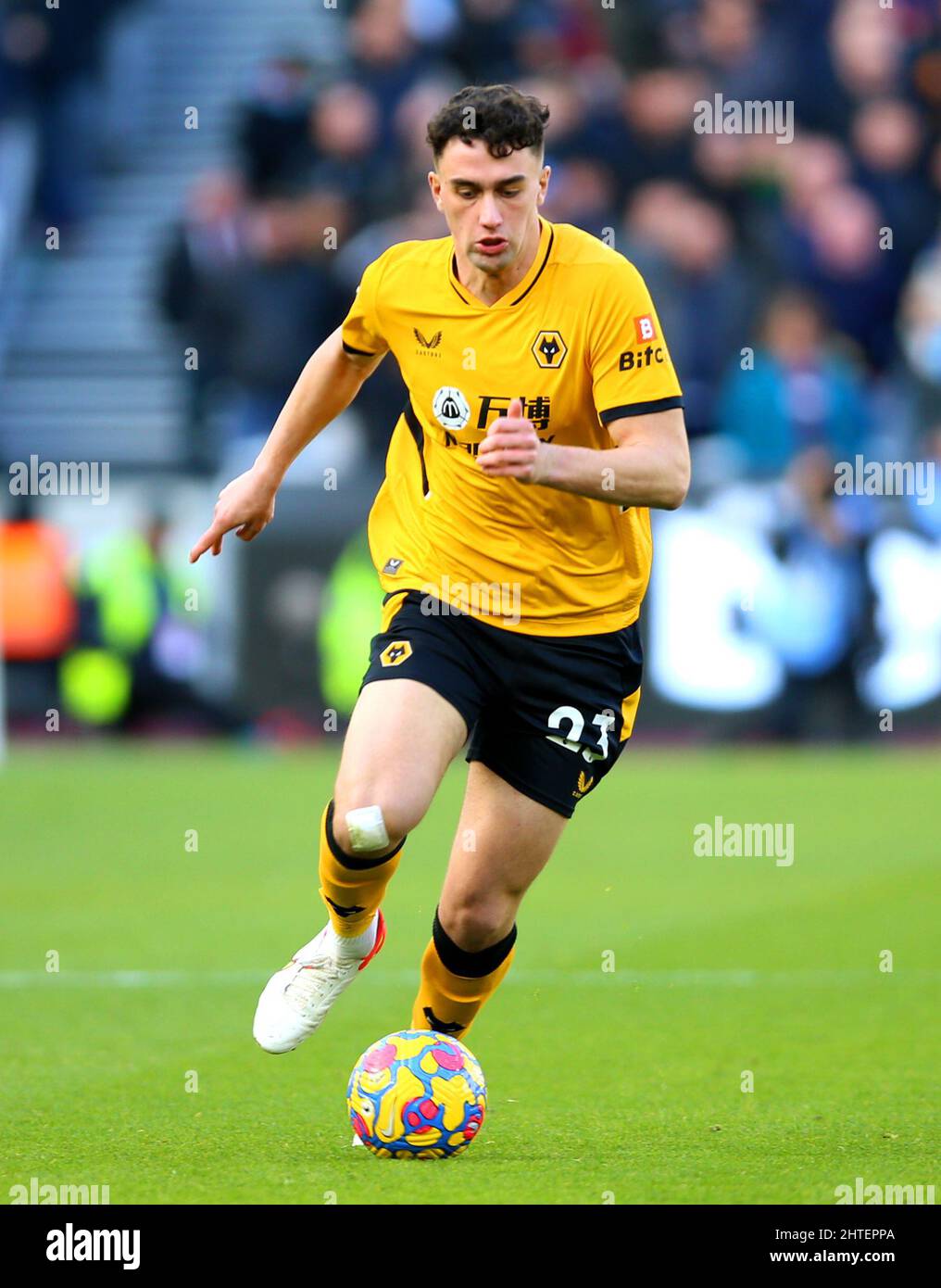 Max kilman wolves 2022 hi-res stock photography and images - Alamy