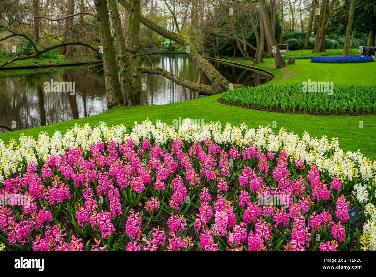 Colorful garden landscape and grassy lawn Stock Photo - Alamy