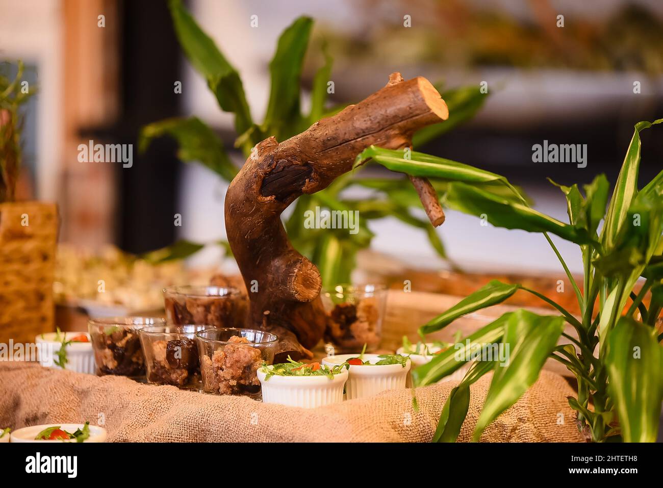 Shot of sweets in cups with plants decorations on a table Stock Photo ...