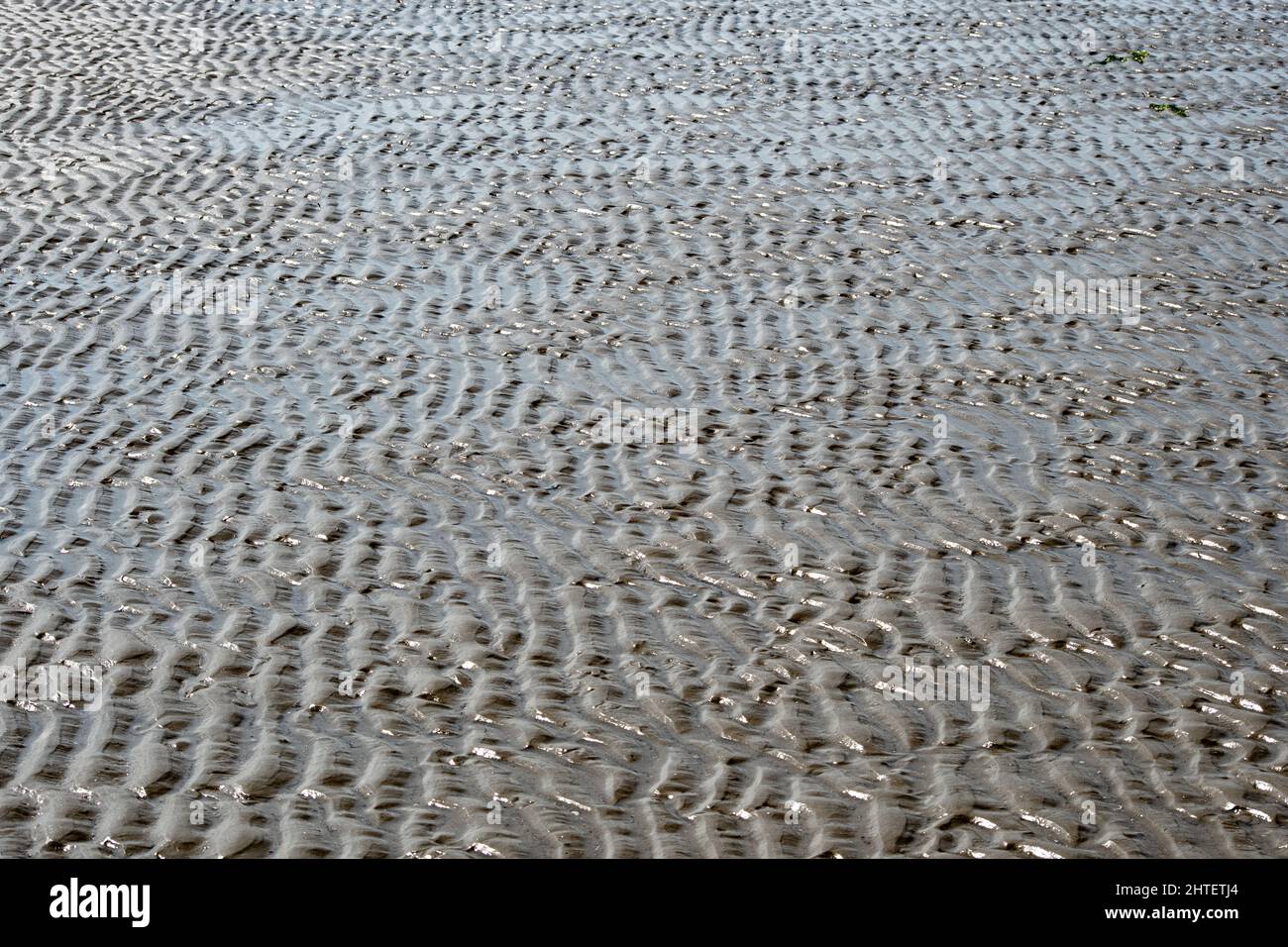 Sand formed by water and wind on the North Sea Stock Photo - Alamy