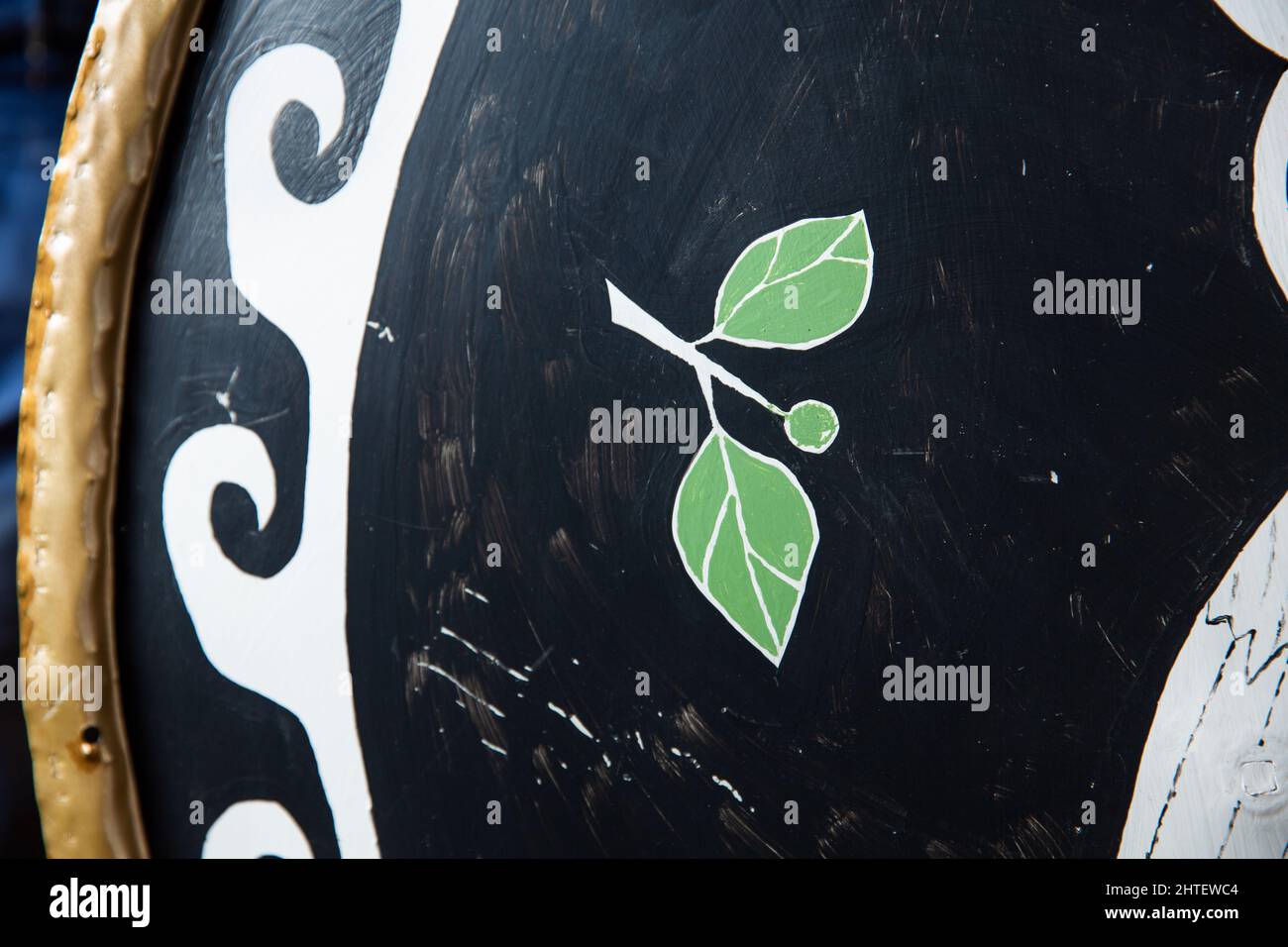 Front view of an old wooden medieval shield Stock Photo - Alamy