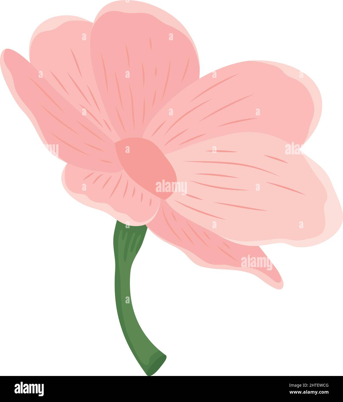 pink beautiful flower nature icon Stock Vector Image & Art - Alamy